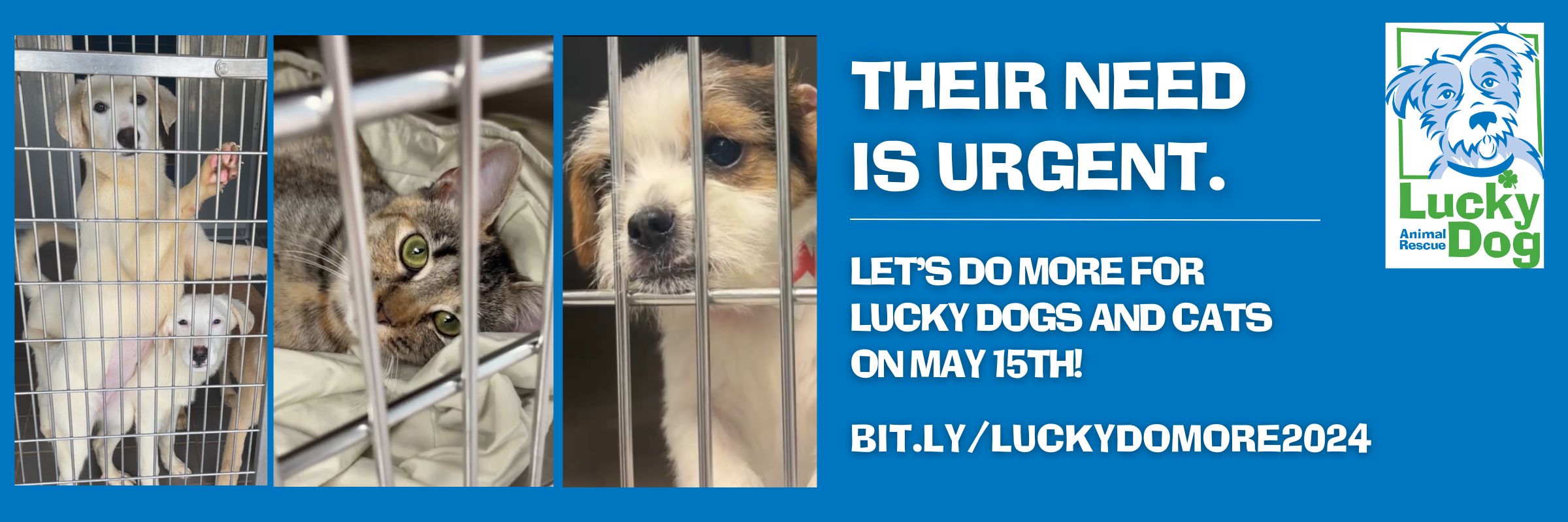 Saving Lives Together - Lucky Dog Animal Rescue - 24 Hours to SAVE over ...